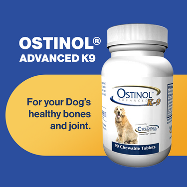 Ostinol® Bone & Joint Supplements - Best Bone Support & Joint Health
